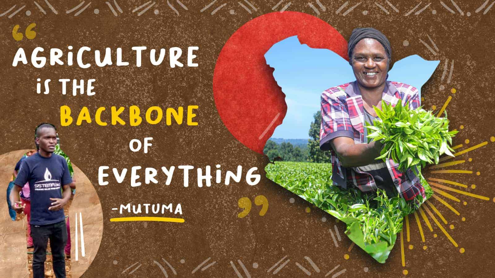 Mutuma: A fertile ground for change - Sistema.bio