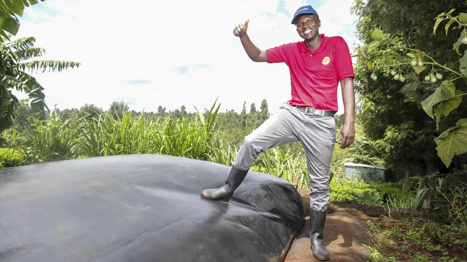 Noticias Sistema.bio Kenia | Agosto 2019 - Sistema Bio