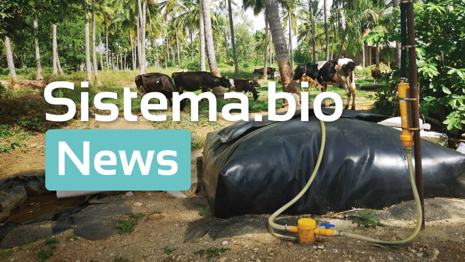 2024 - Sistema.bio News (July) - Sistema.bio