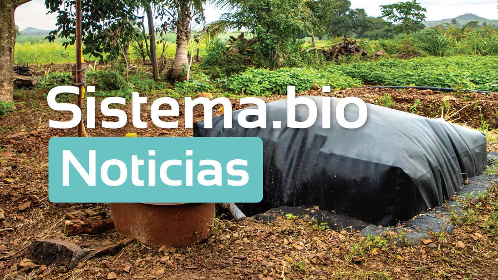Noticias Sistema.bio Q1 2025 - Sistema.bio