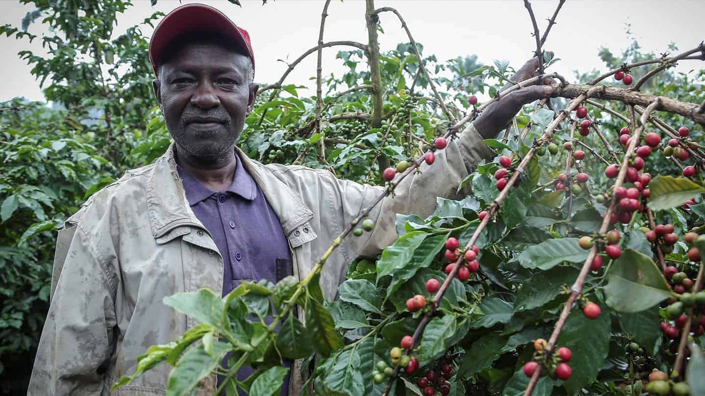 Giving men a seat in the kitchen with biogas - Sistema.bio