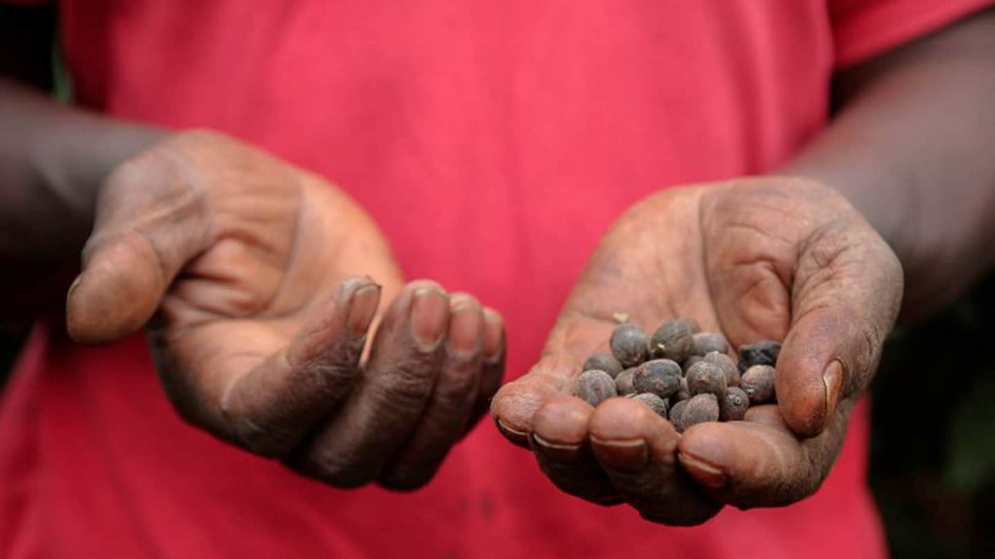 Sistema.bio, an international biodigester company enters into a ...