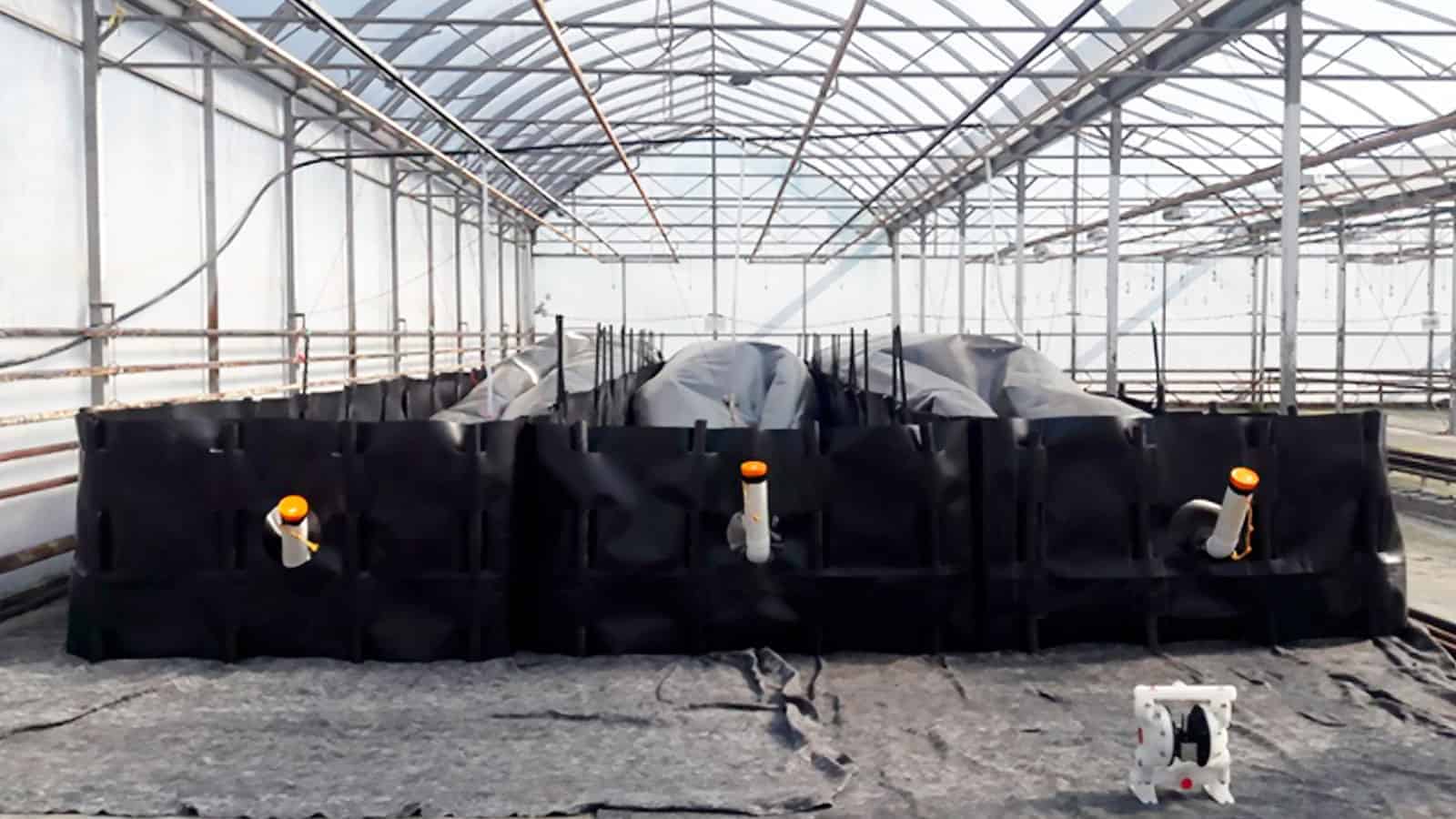 From cows to fish. Our first biodigester for aquaculture waste ...