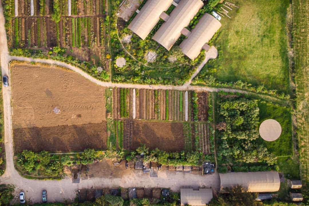 Who we are - Sistema.bio