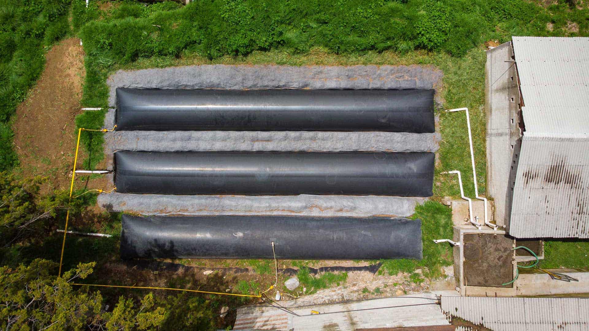 Sistema.bio México - Sistema.bio