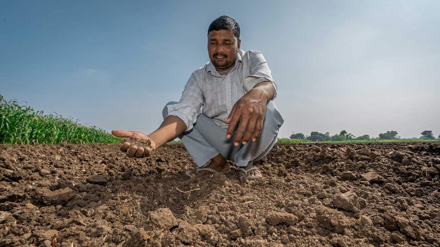 Sistema.bio India - Sistema.bio