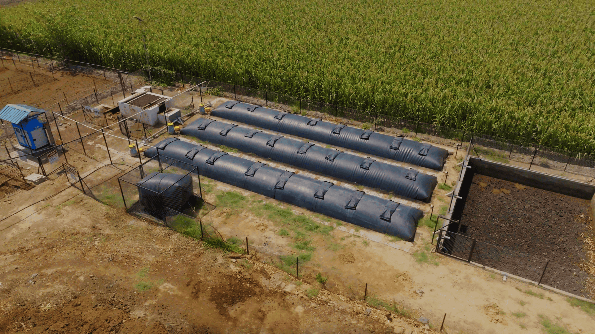 How Can We Bring About the Bioenergy Revolution in the World? - Sistema.bio