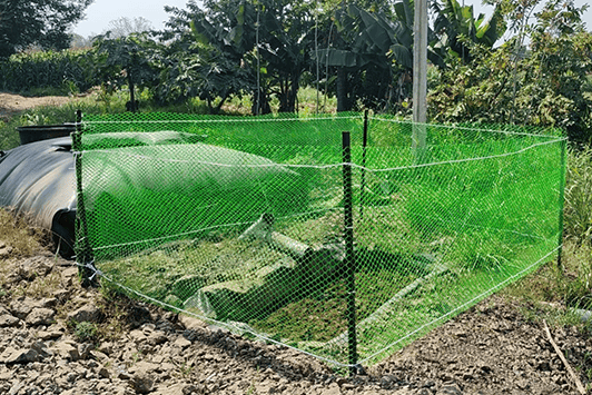 Fence Contest - Sistema.bio